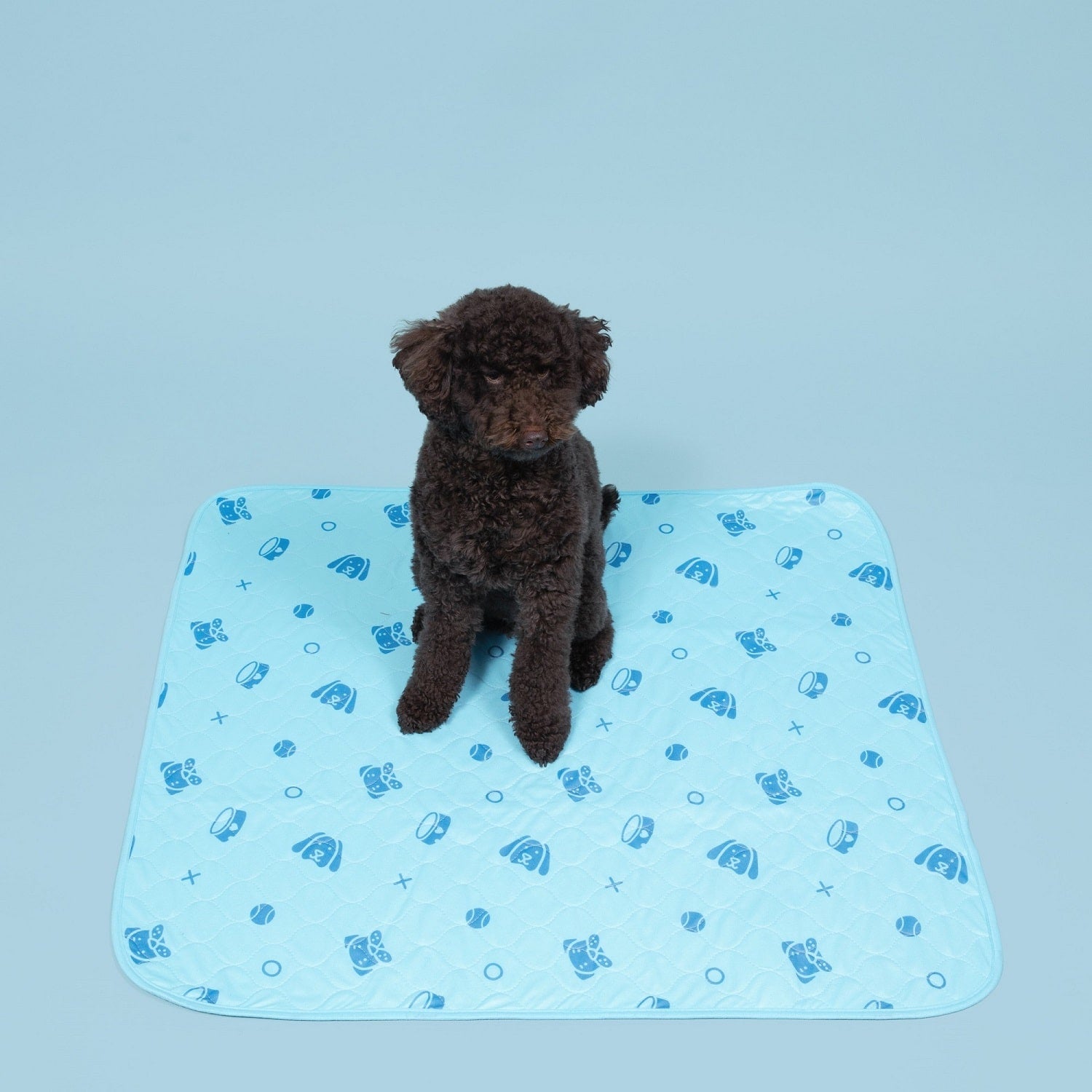 Washable Pee Pads for Dog Training - Potty Buddy™ - Potty Buddy AU