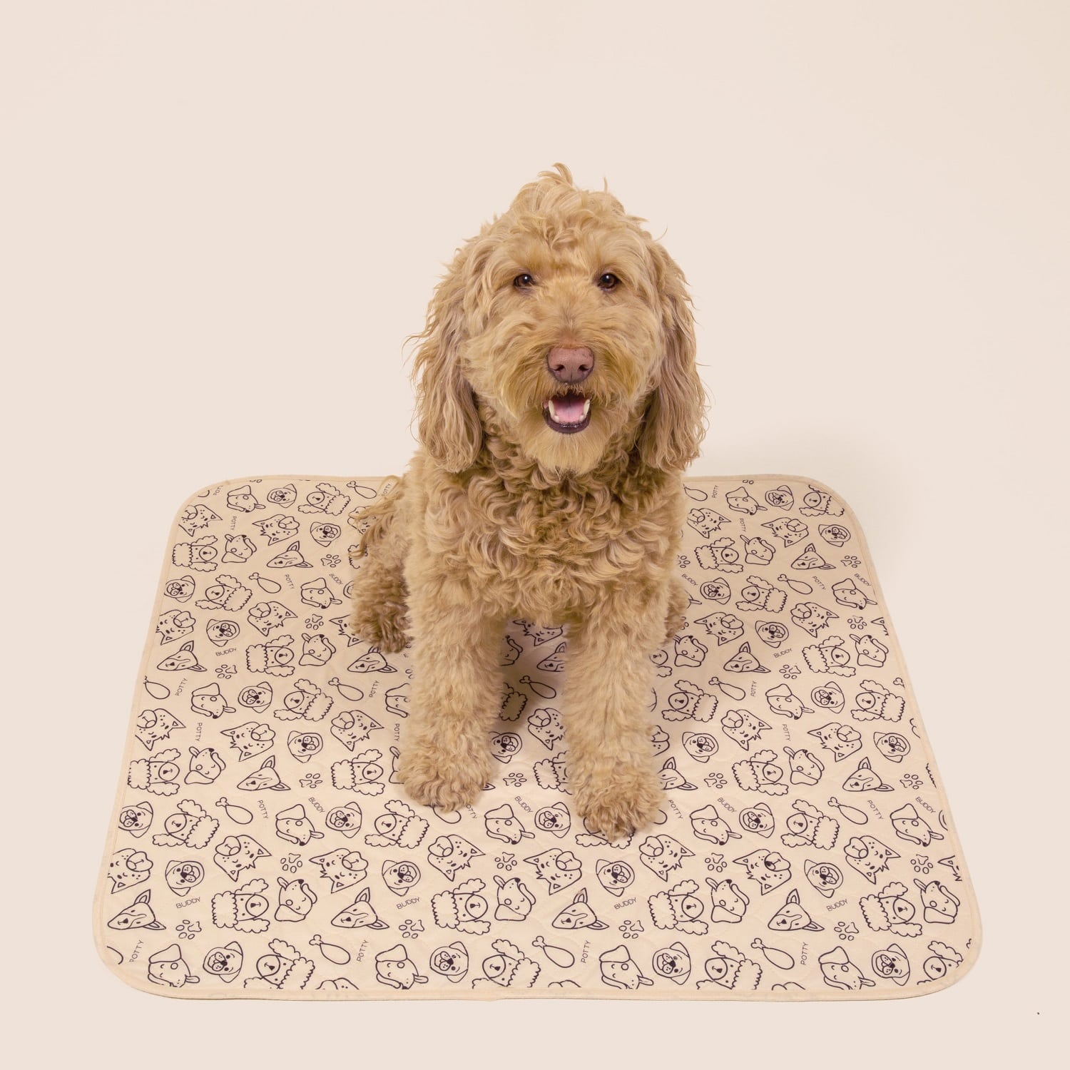Washable Pee Pads for Dog Training - Potty Buddy™ - Potty Buddy AU