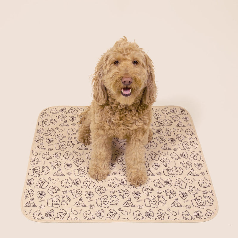 Washable Pee Pads for Dog Training - Potty Buddy™ - Potty Buddy AU