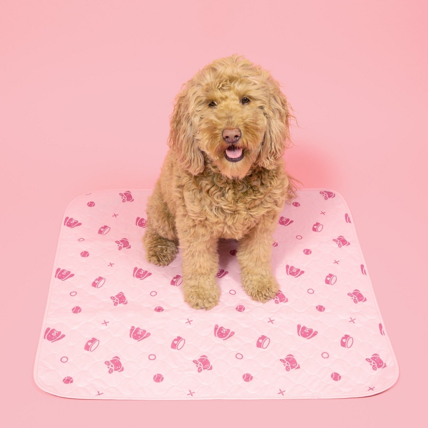 Washable Pee Pads for Dog Training - Potty Buddy™ - Potty Buddy AU