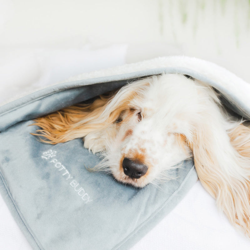 Waterproof Pet Blanket - Potty Buddy™ - Potty Buddy AU